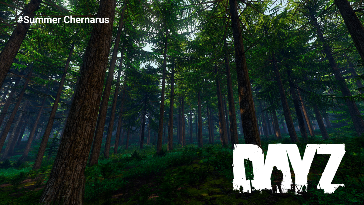 Summer is coming on chernarus ! - MyDayZ